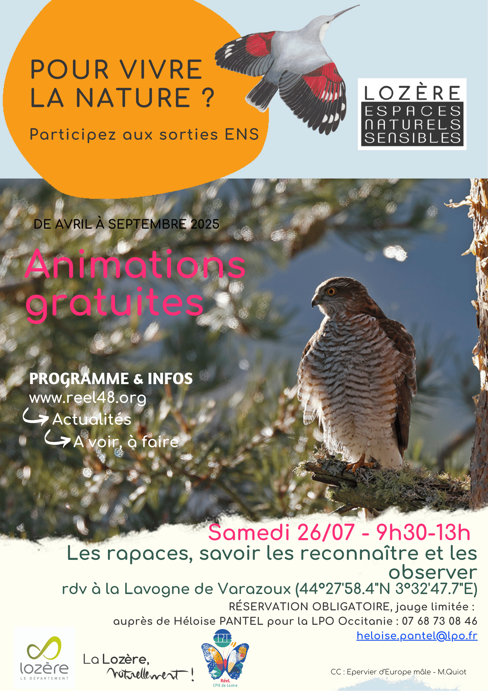 Les rapaces, savoir les reconnaître et les observer | Réel 48
